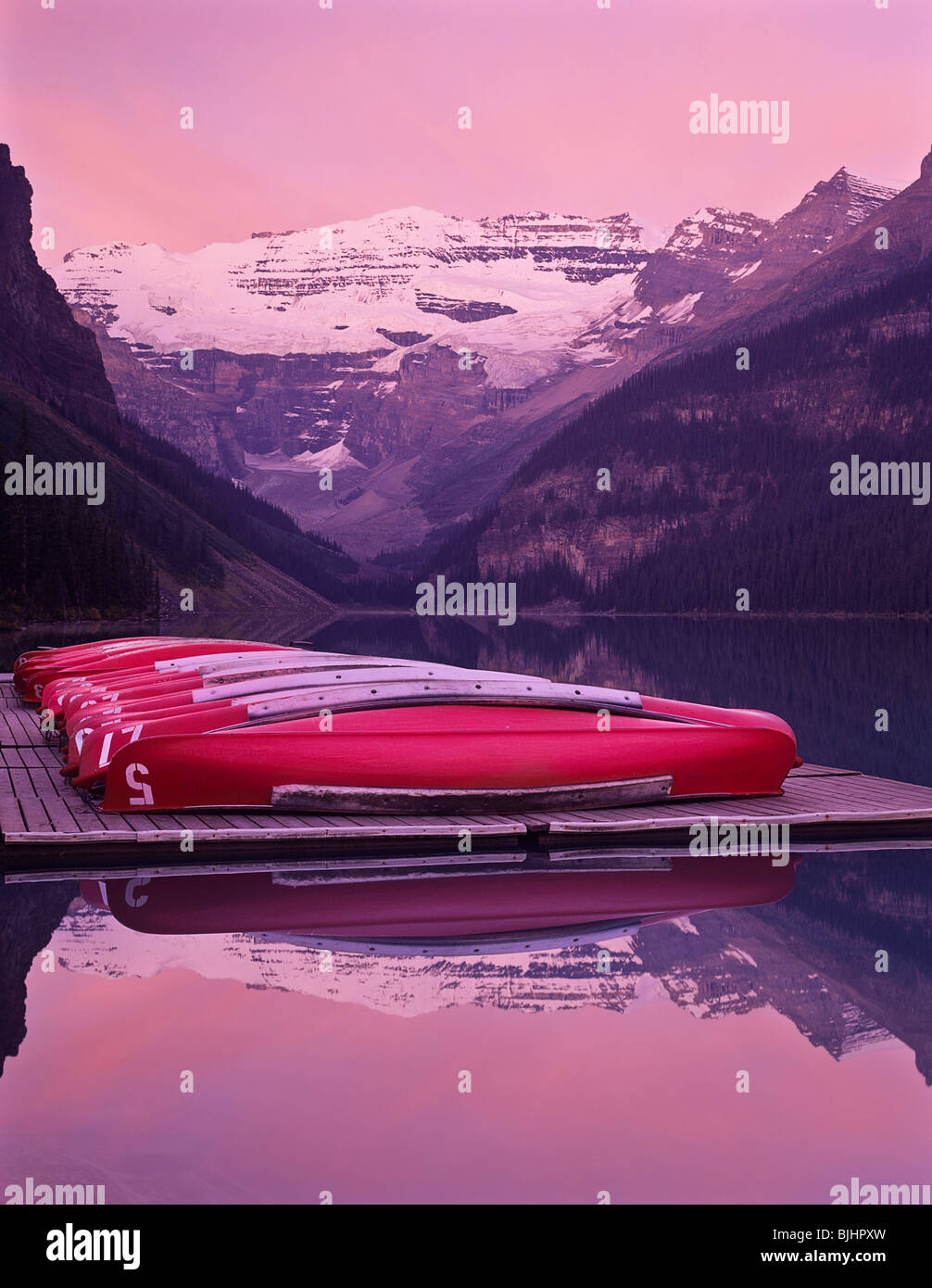Canada, Alberta, Banff NP. Pink pre-dawn sky lights Mount Victoria and ...