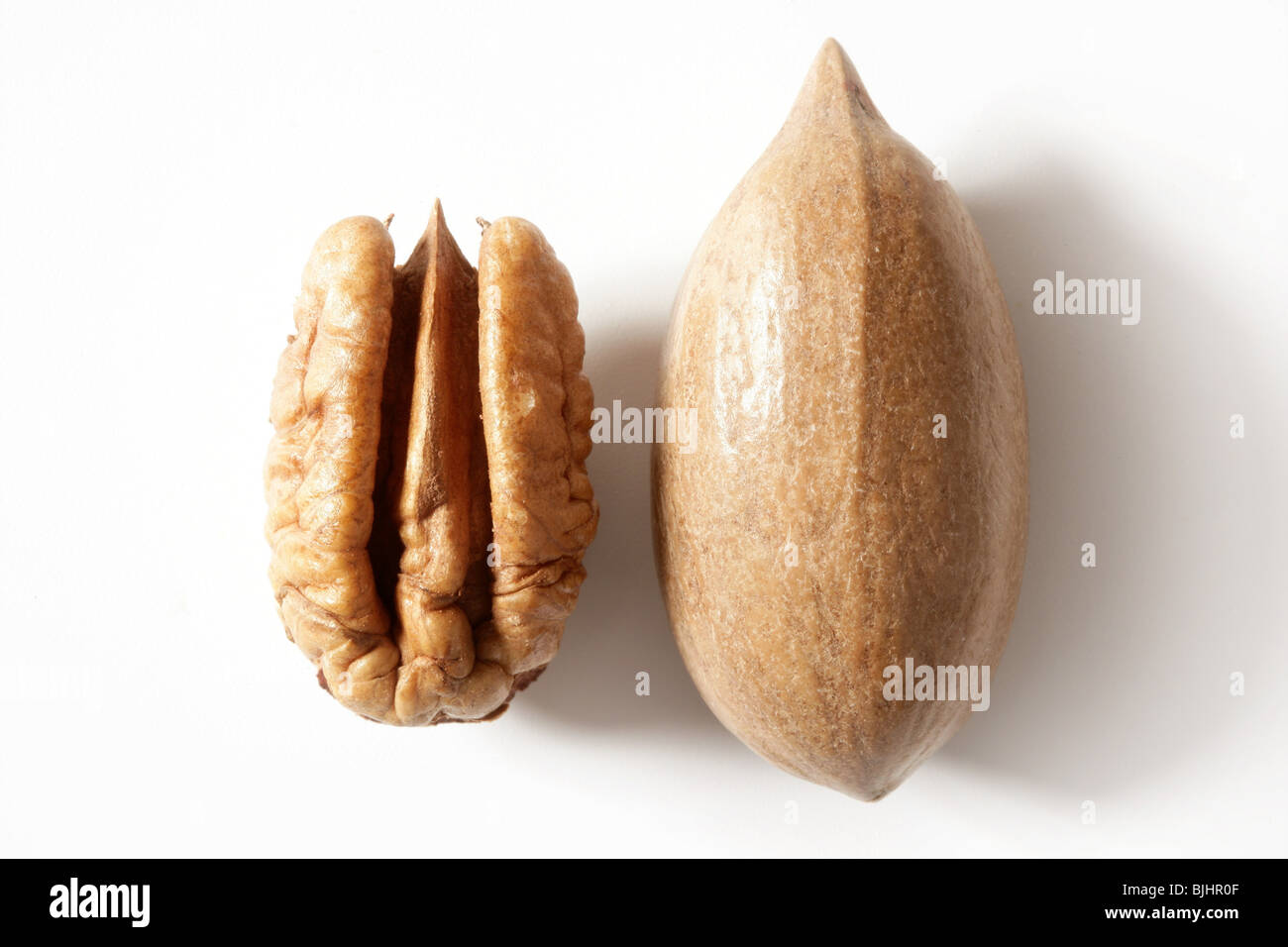 Pecan nut fruit and shell isolated over white studio background Stock ...