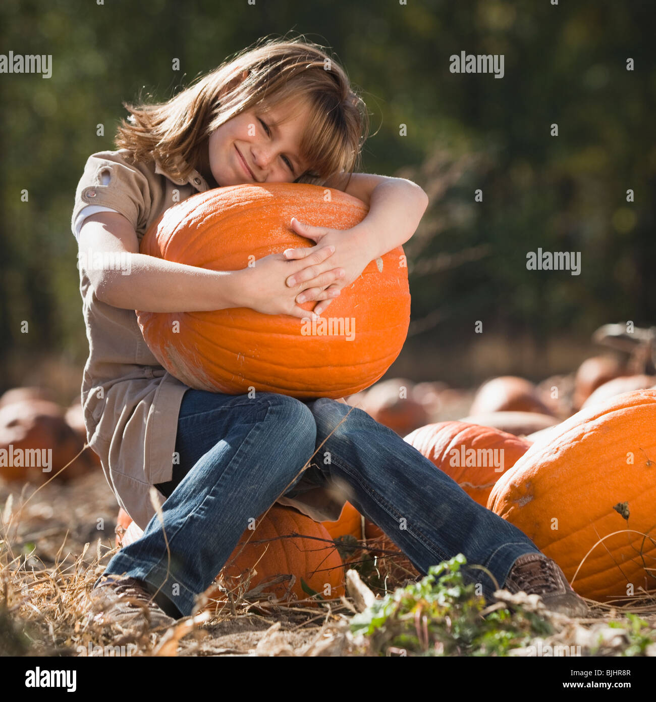 Girl in pumpkin patch Stock Photo - Alamy