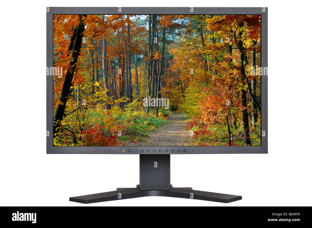 Monitor computer landscape hi-res stock photography and images - Alamy