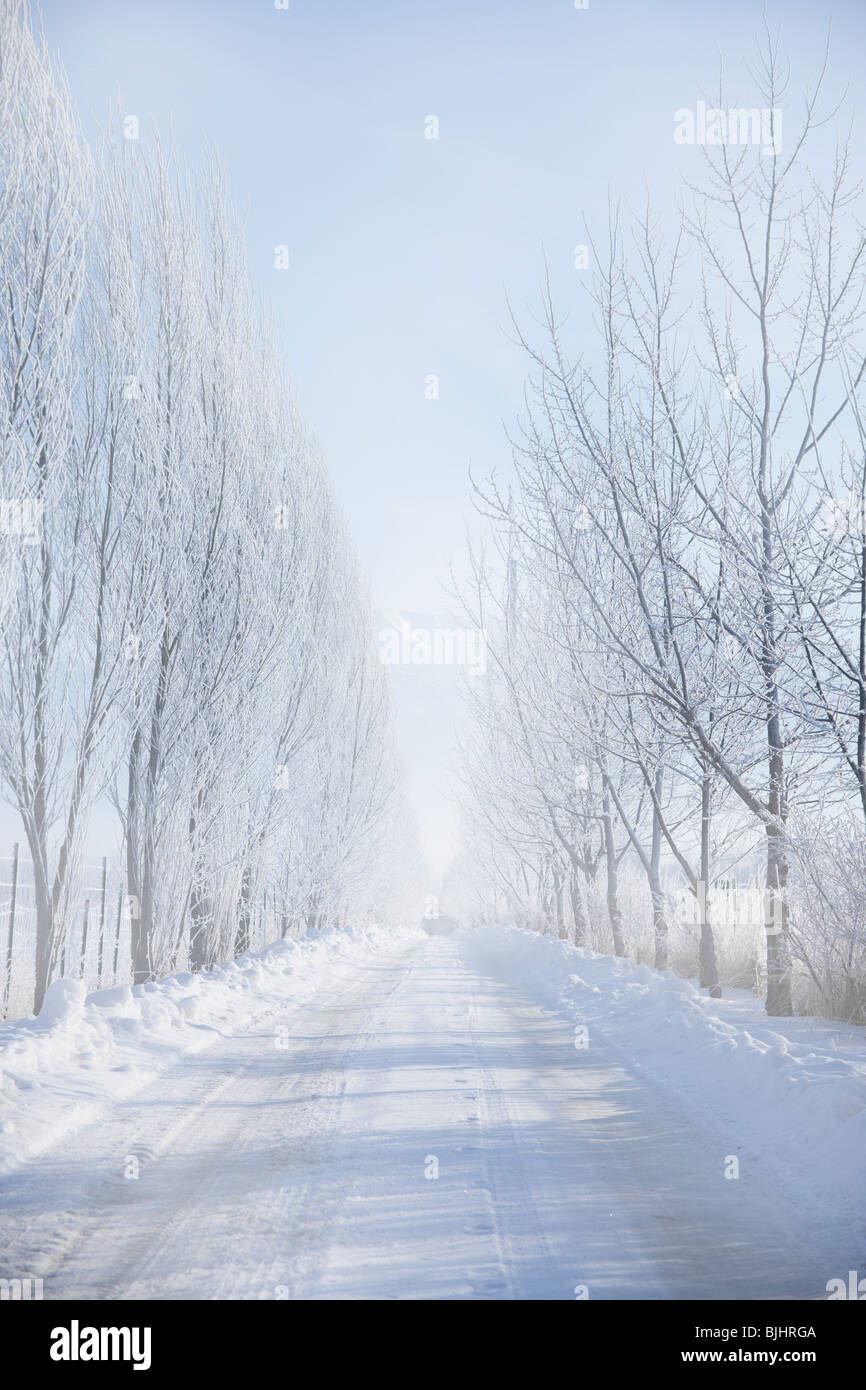 Road trails in snow winter hi-res stock photography and images - Alamy