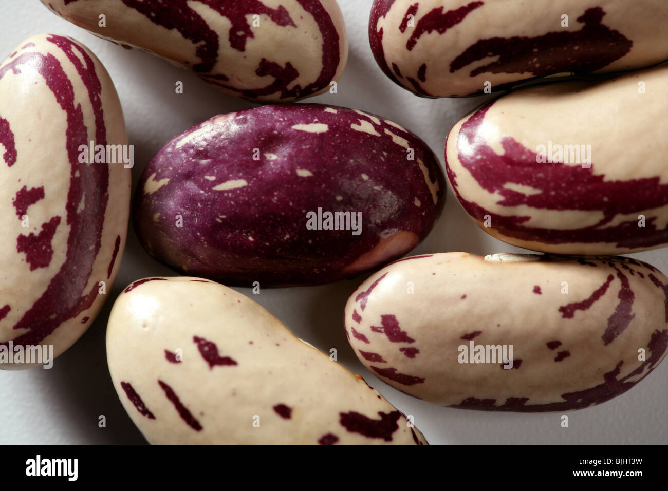 Dried beans macro at studio white background Stock Photo - Alamy