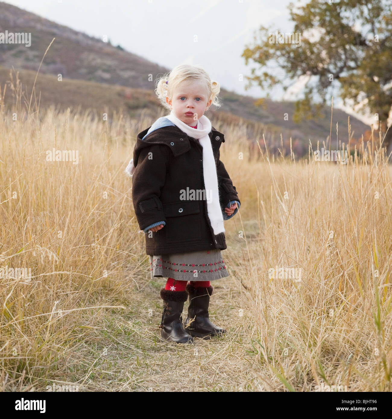 Meadow towards camera hi-res stock photography and images - Alamy