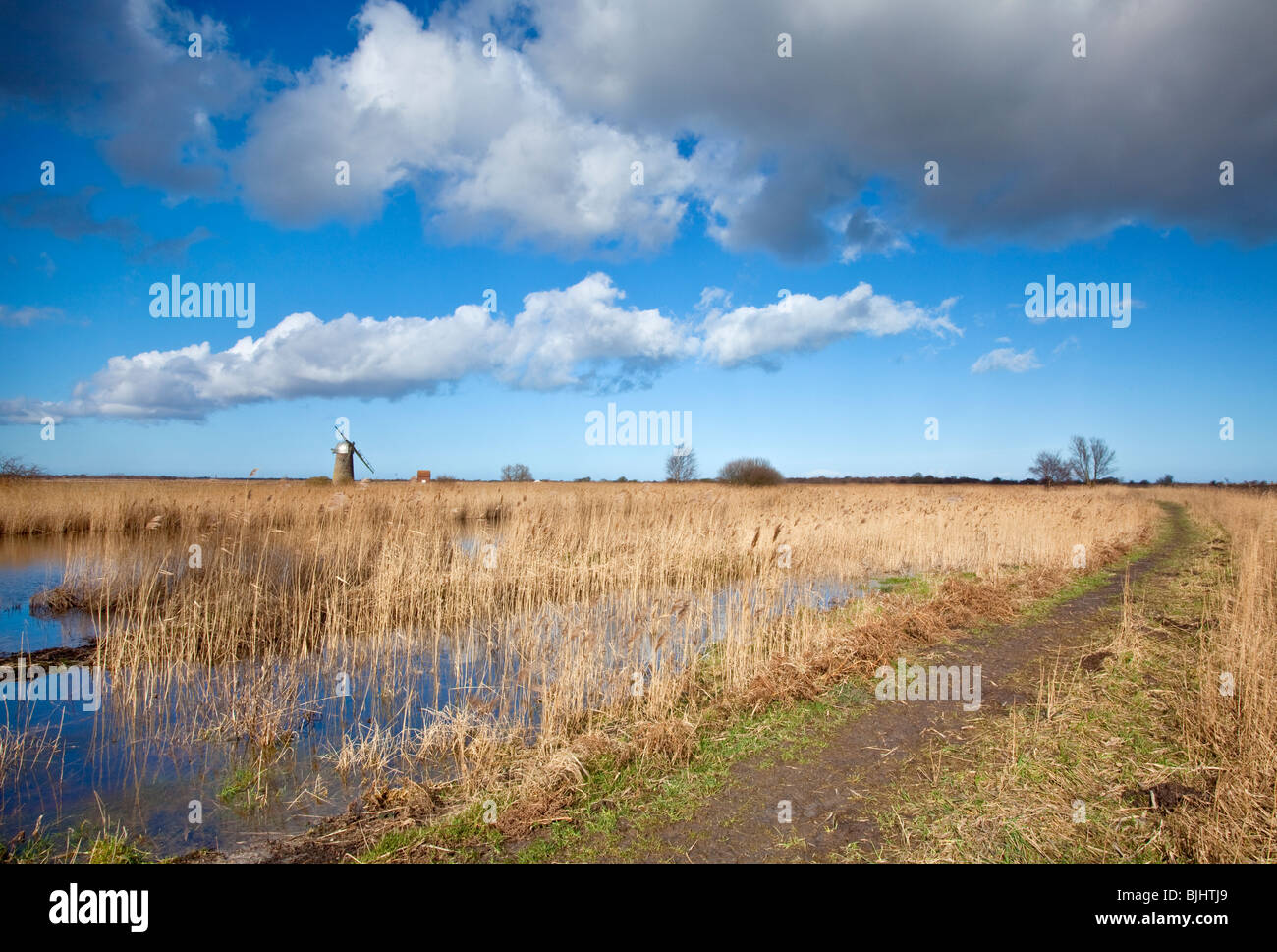 The River Thurne with the derelict Heigham Holmes Mill at Eelfleet Dyke ...