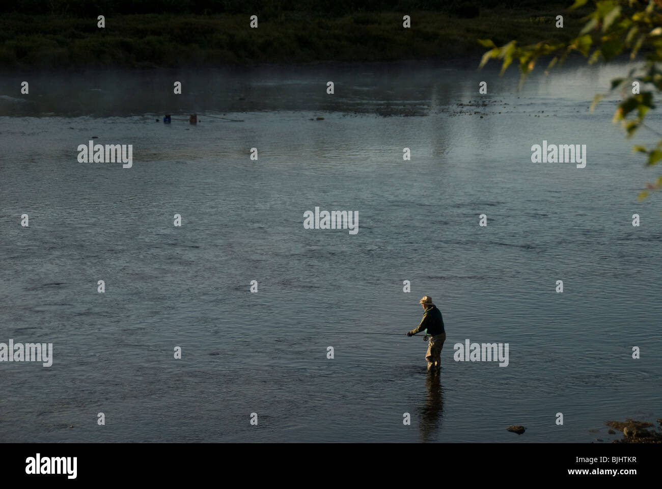 New Brunswick, Canada, Miramichi River, fly fishermen fishing for ...