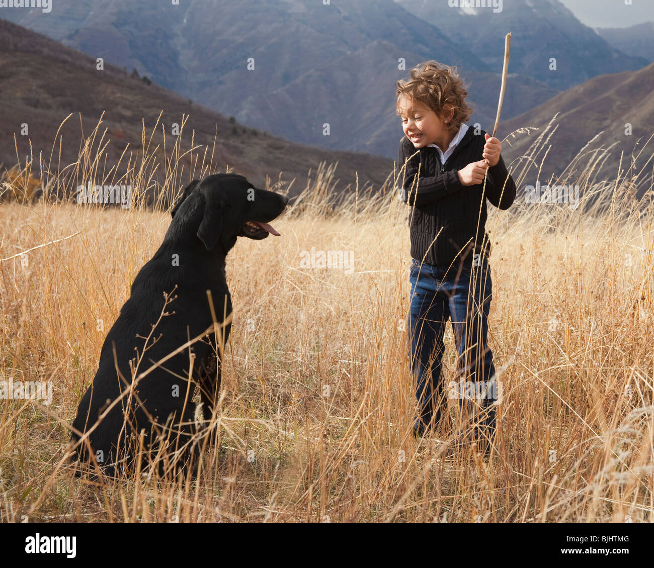 Fetch with dog hi-res stock photography and images - Alamy
