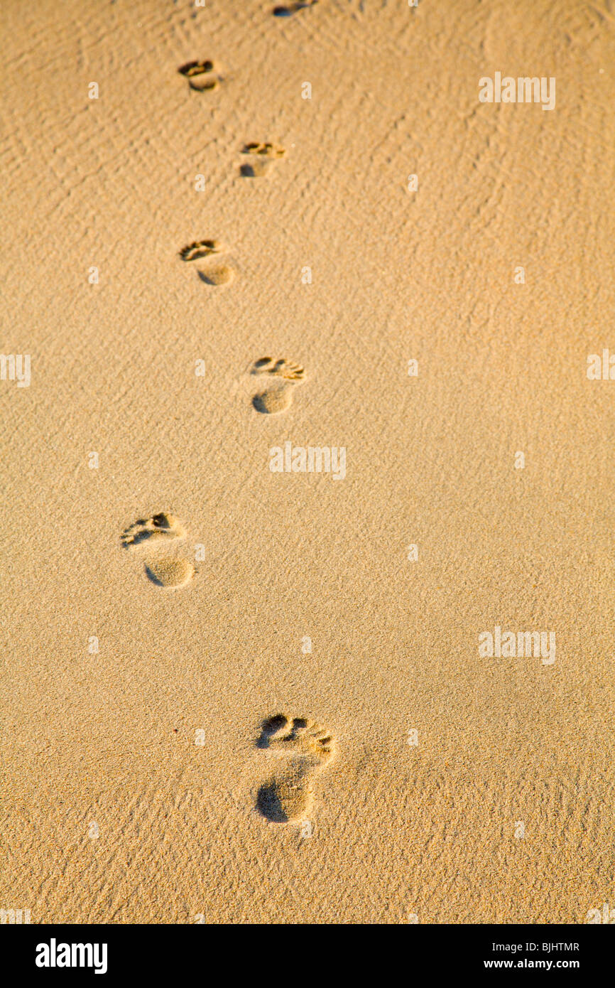Footprints in sand hi-res stock photography and images - Alamy