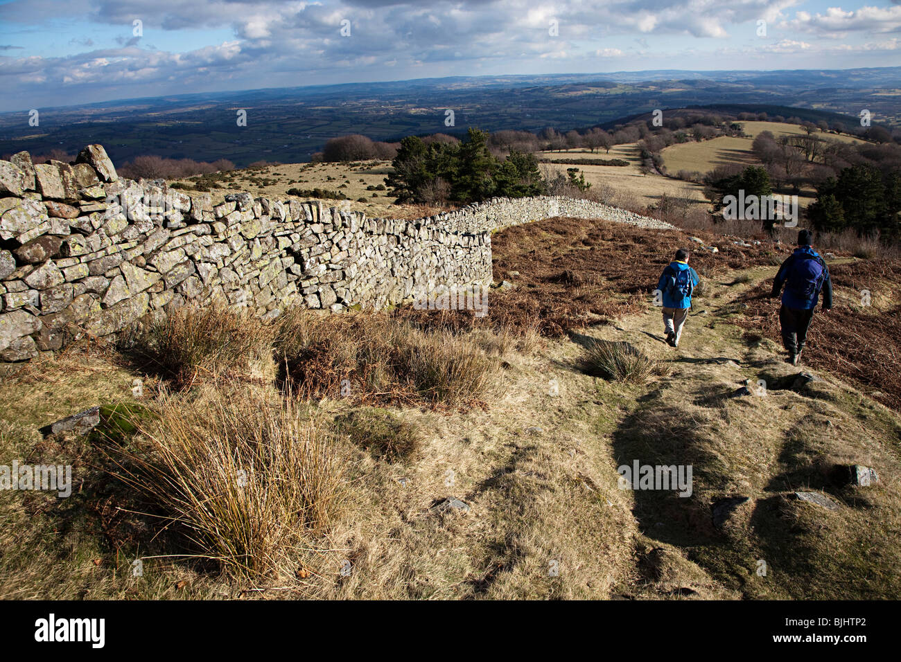 Two hikers walking past drystone wall on the slopes of the Blorenge ...
