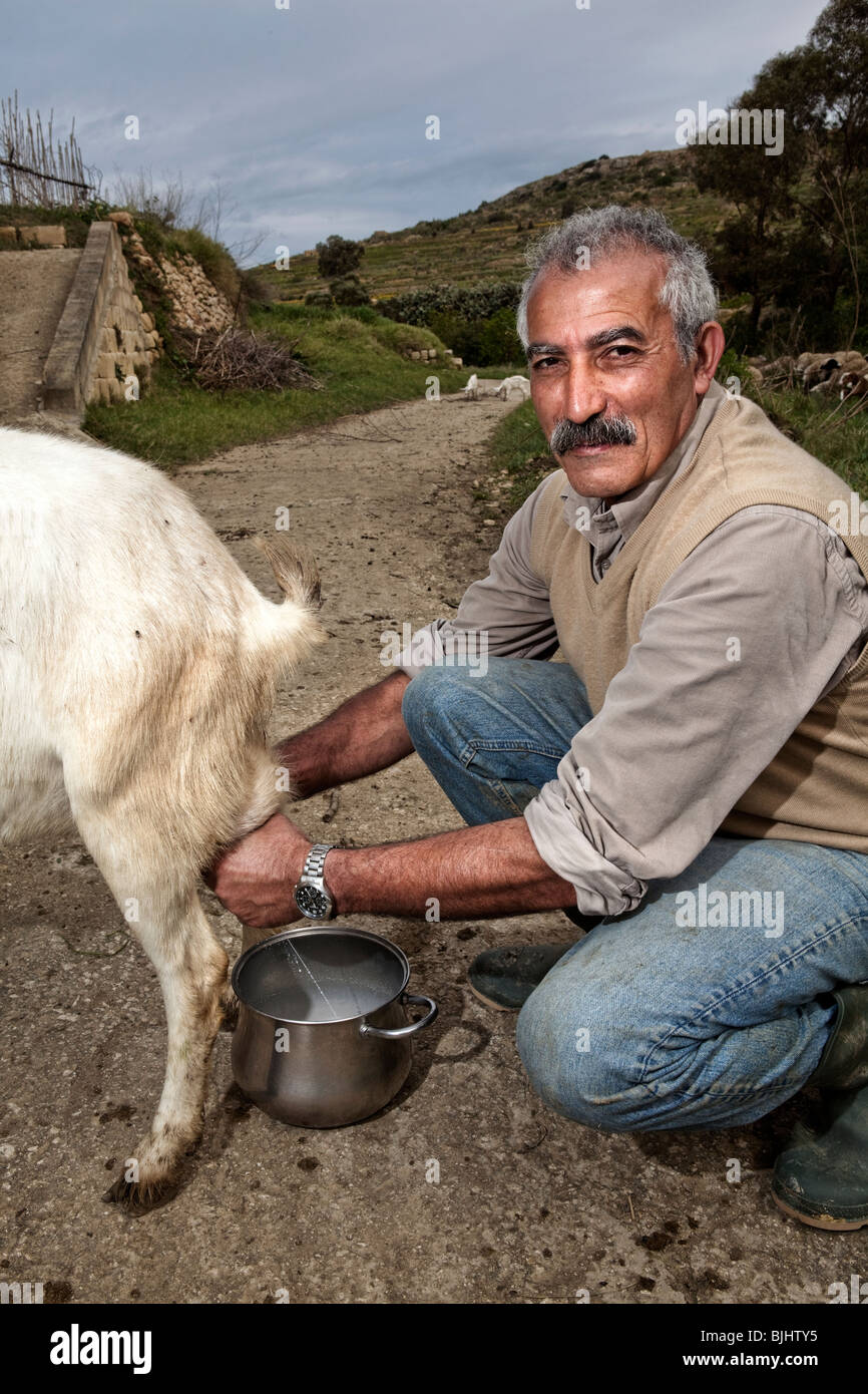 Ta' Rikkardu restaurant and Goat's Cheesemaking process, Gozo, Malta ...