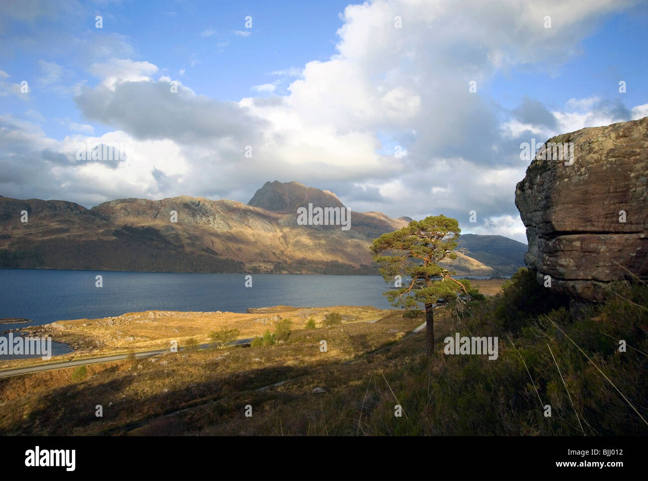 Slicoh hi-res stock photography and images - Alamy