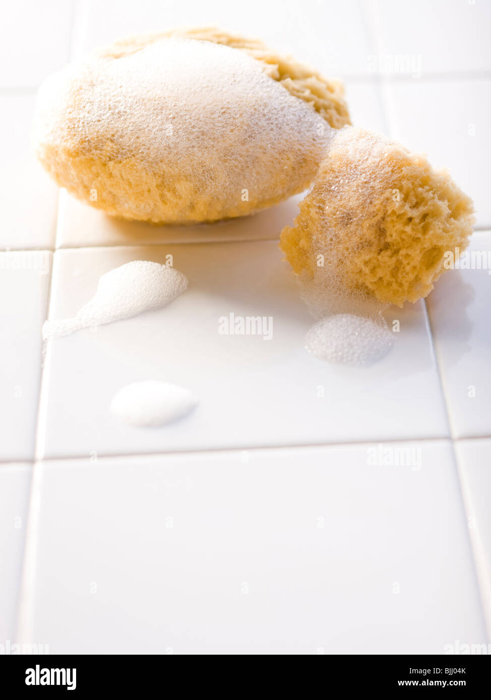 stack of sponges Stock Photo - Alamy