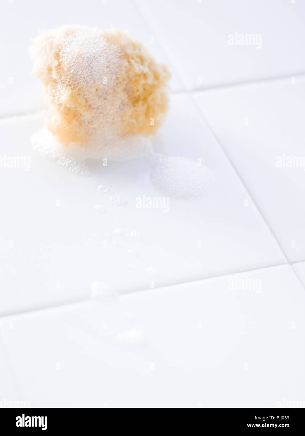 stack of sponges Stock Photo - Alamy