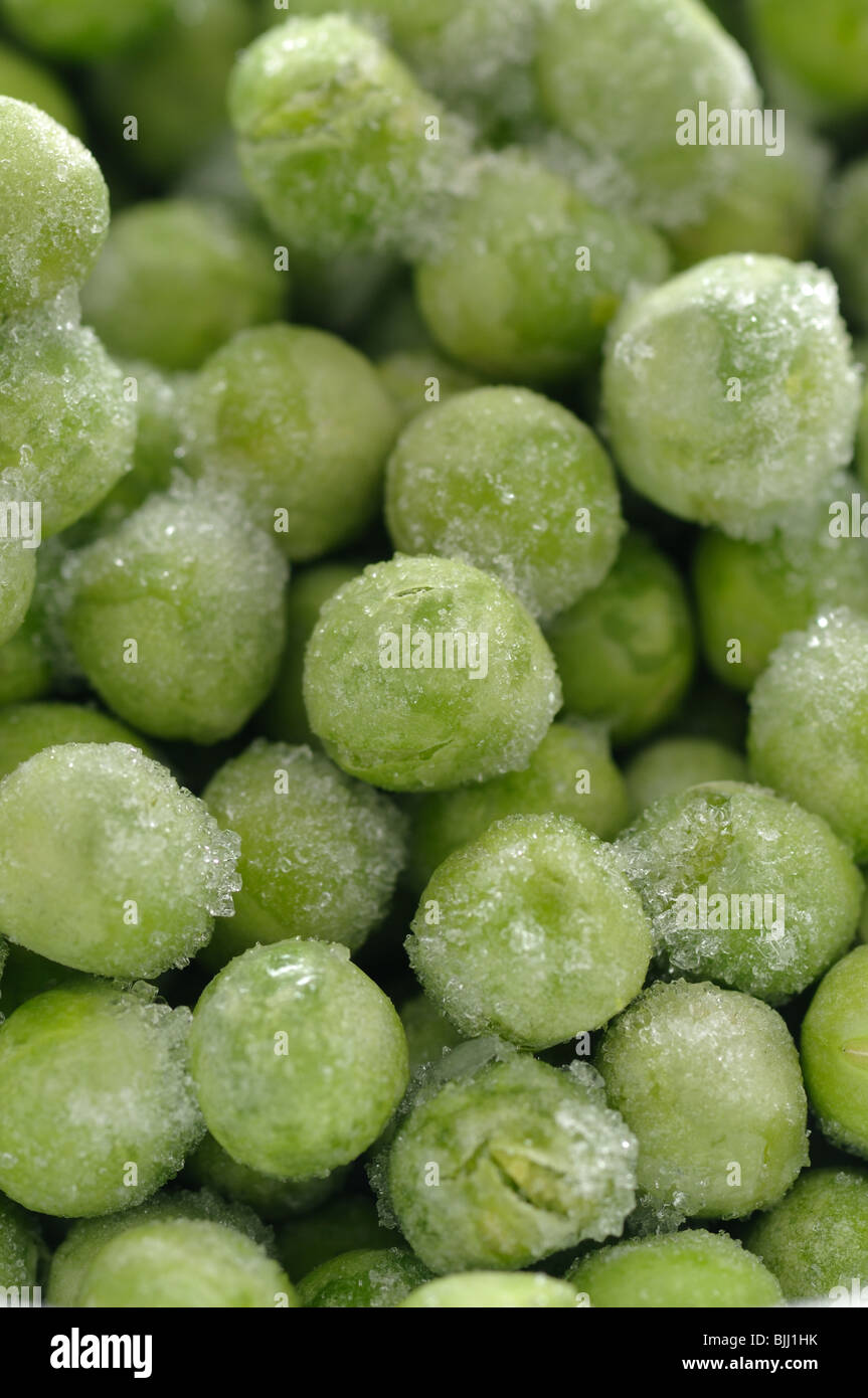 Green pea with frost as a background Stock Photo - Alamy