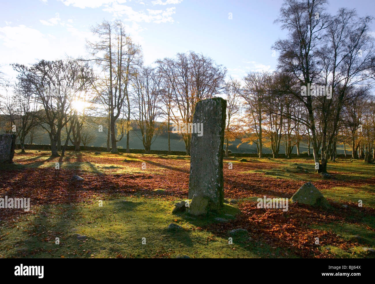 Standing stone at historic neothithic Clava Cairns near Culloden Moor ...