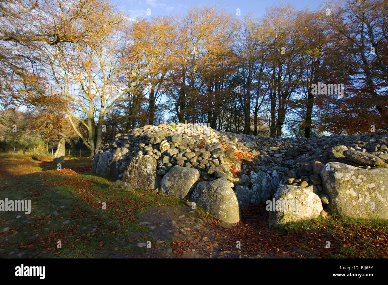 Standing stone at historic neothithic Clava Cairns near Culloden Moor ...