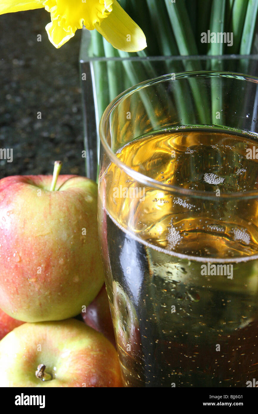 Bugdet hi-res stock photography and images - Alamy