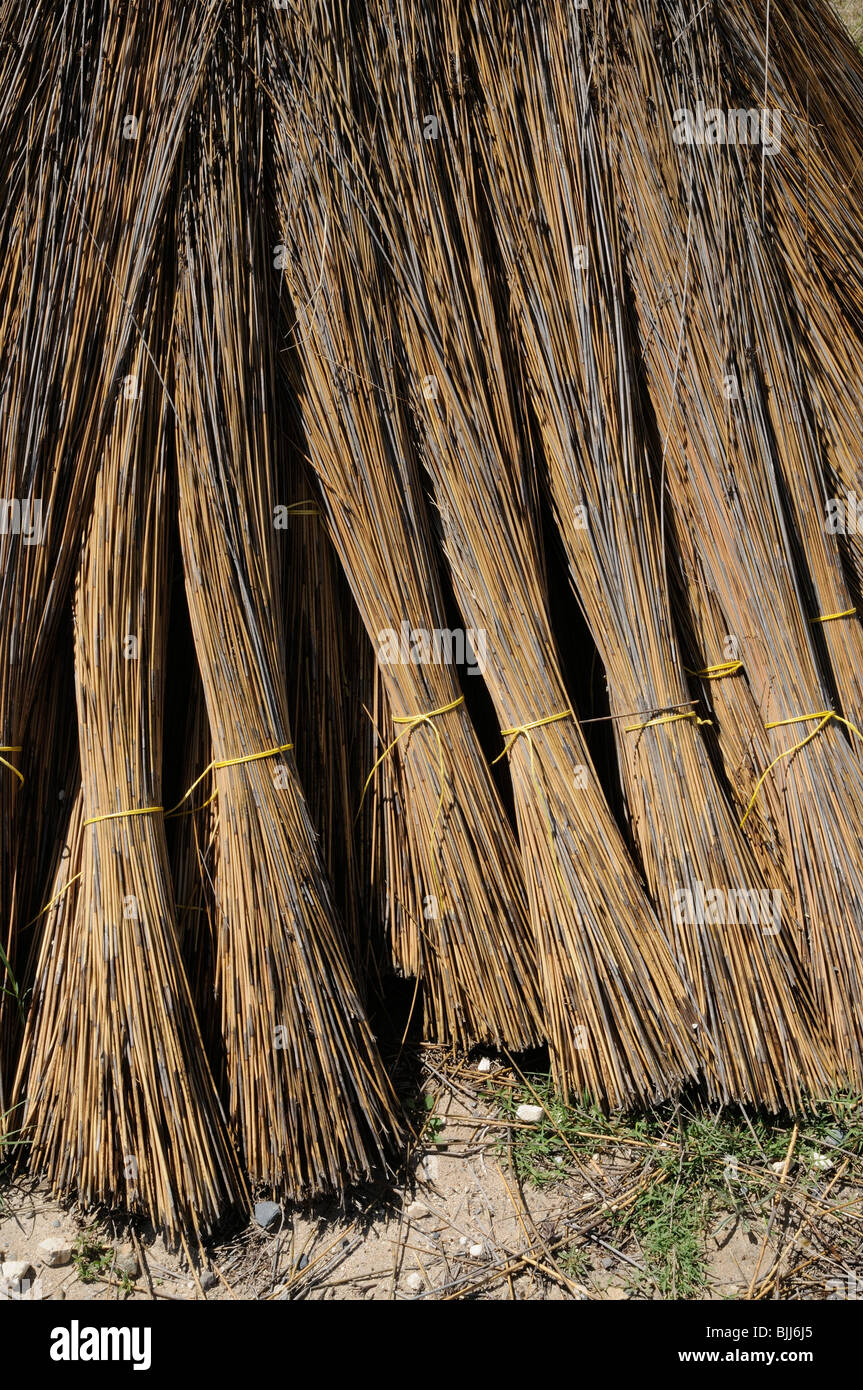 Thatching Grass High Resolution Stock Photography and Images - Alamy