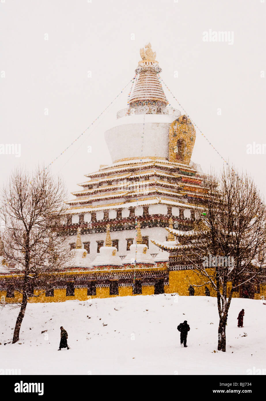 Large lama monastery hi-res stock photography and images - Alamy