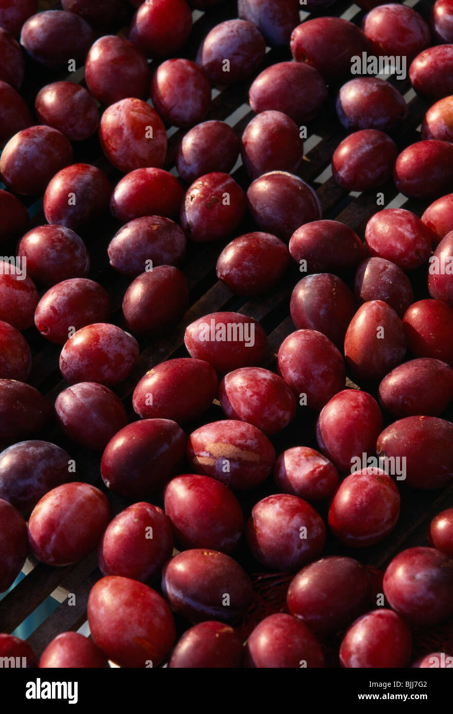 Ruby plum hi-res stock photography and images - Alamy