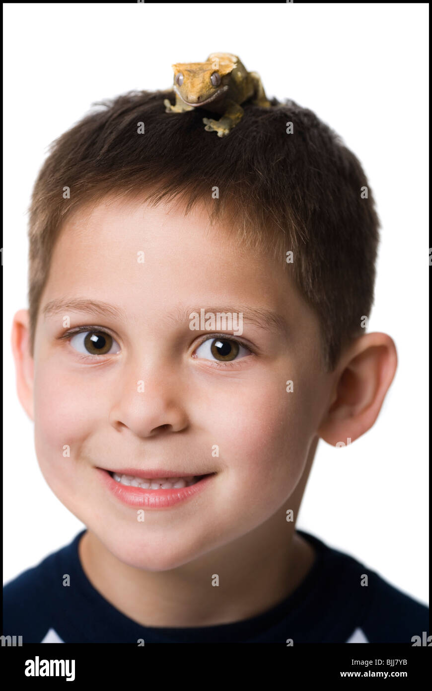 Closeup of boy with lizard on head smiling Stock Photo - Alamy