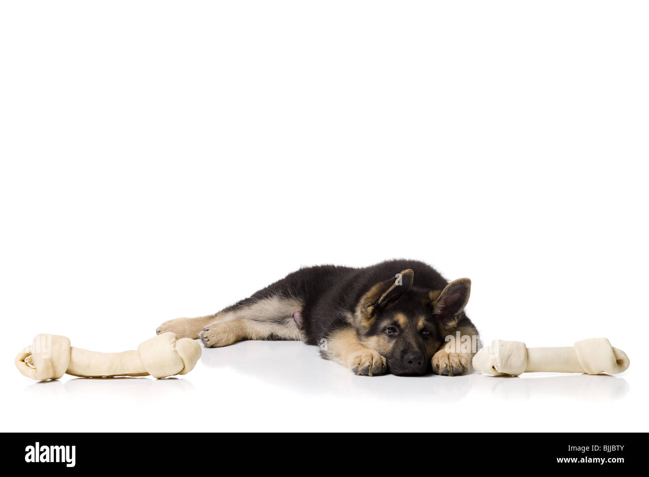 Reclining shepherd hi-res stock photography and images - Alamy