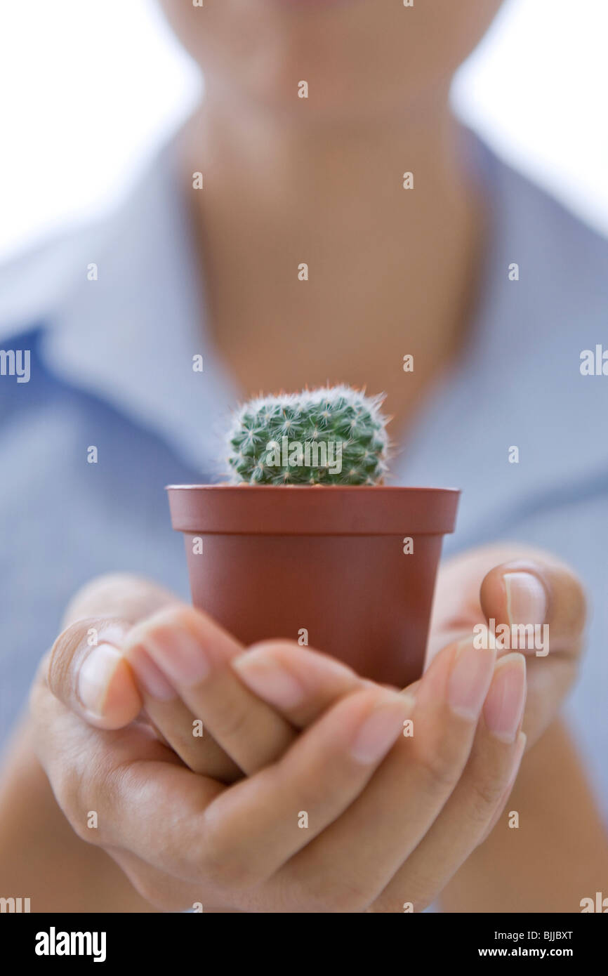 Woman holding cactus Stock Photo - Alamy