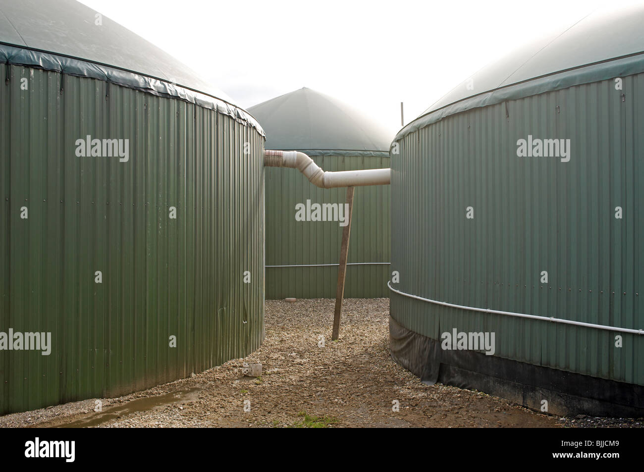 Biogas storage tanks on a farm producing energy from animal waste Stock ...