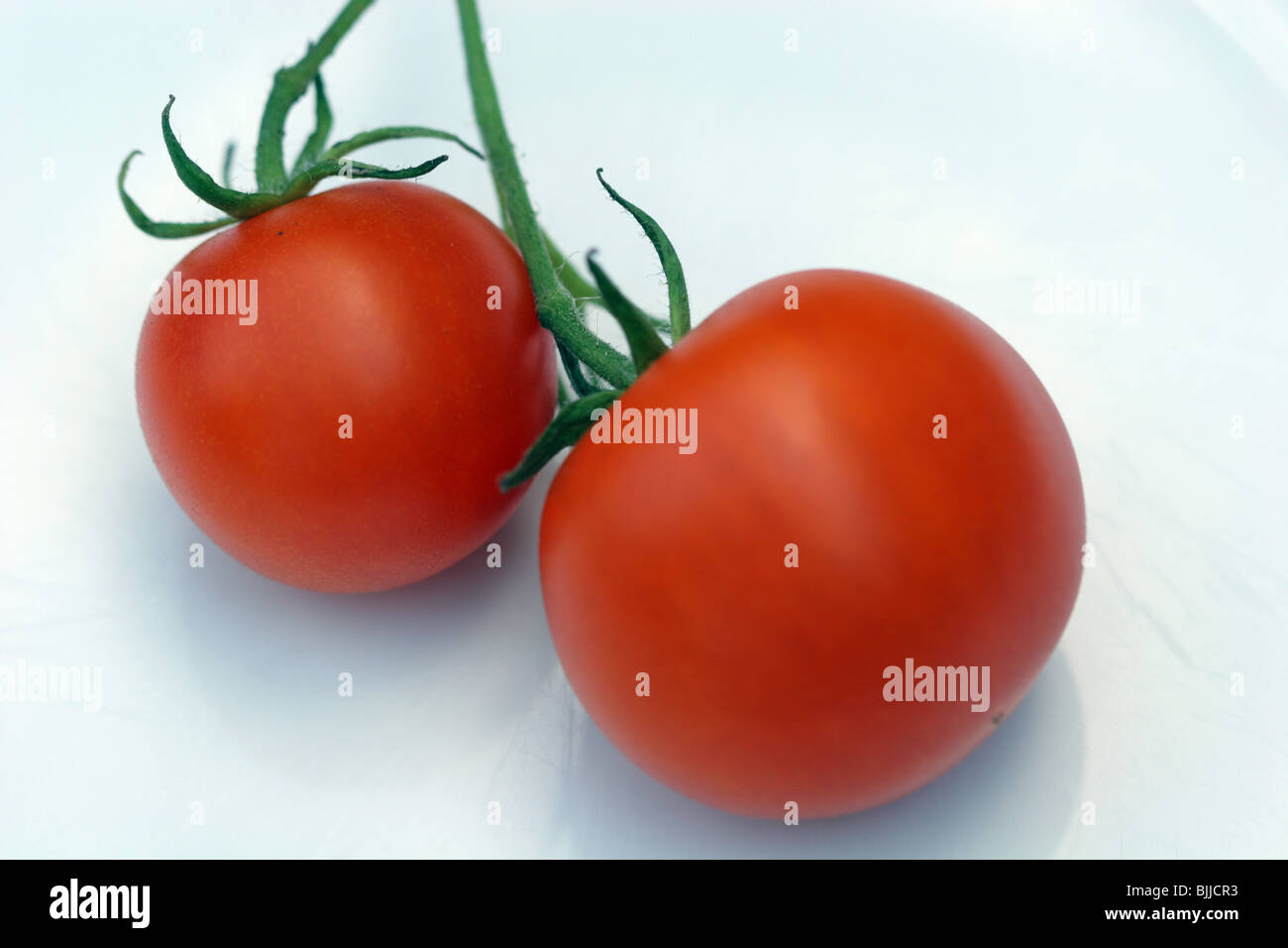 two red ripe tomatoes Stock Photo - Alamy