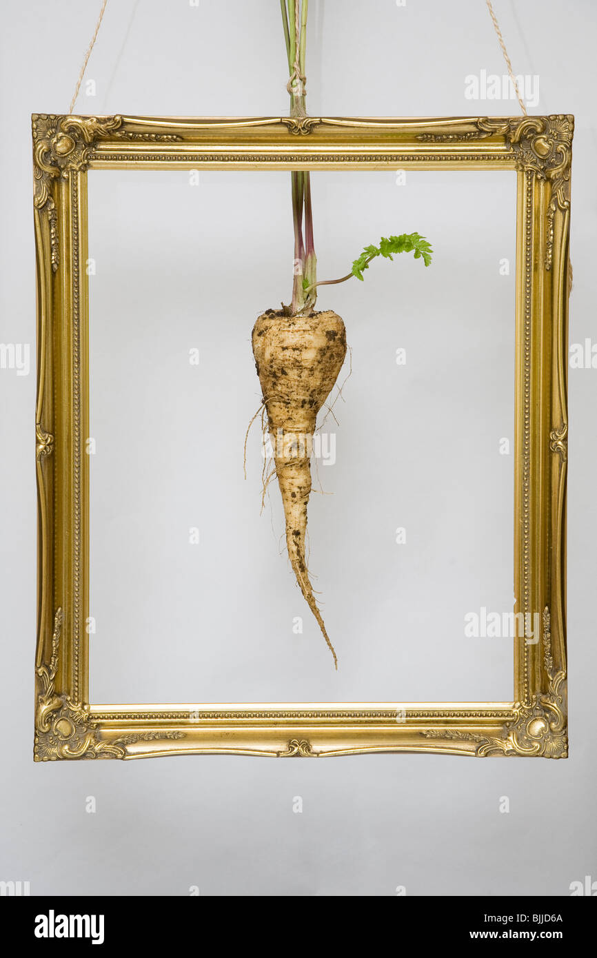 Hanging gold hi-res stock photography and images - Alamy