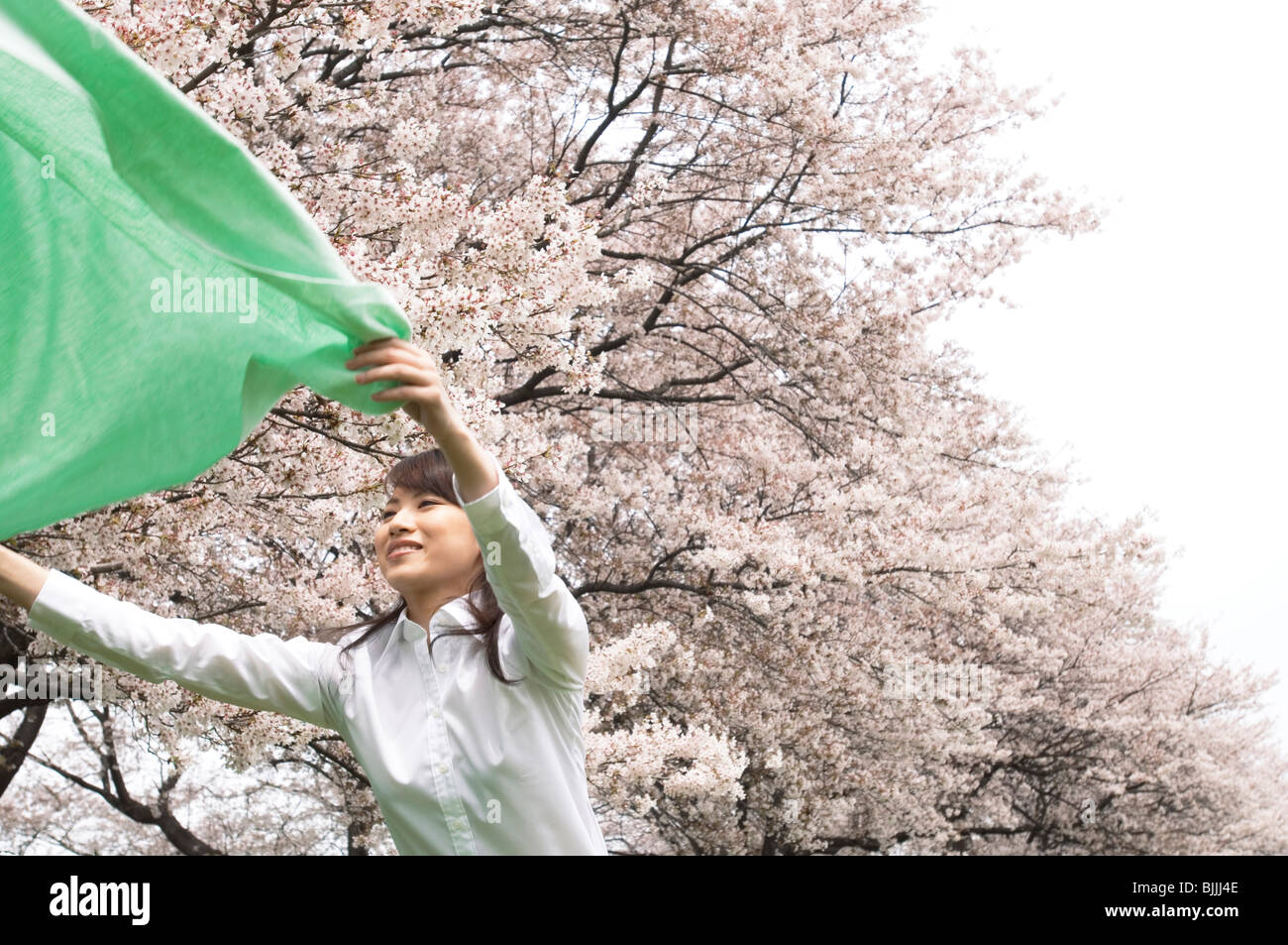 Businesswoman laying down a picnic blanket Stock Photo - Alamy