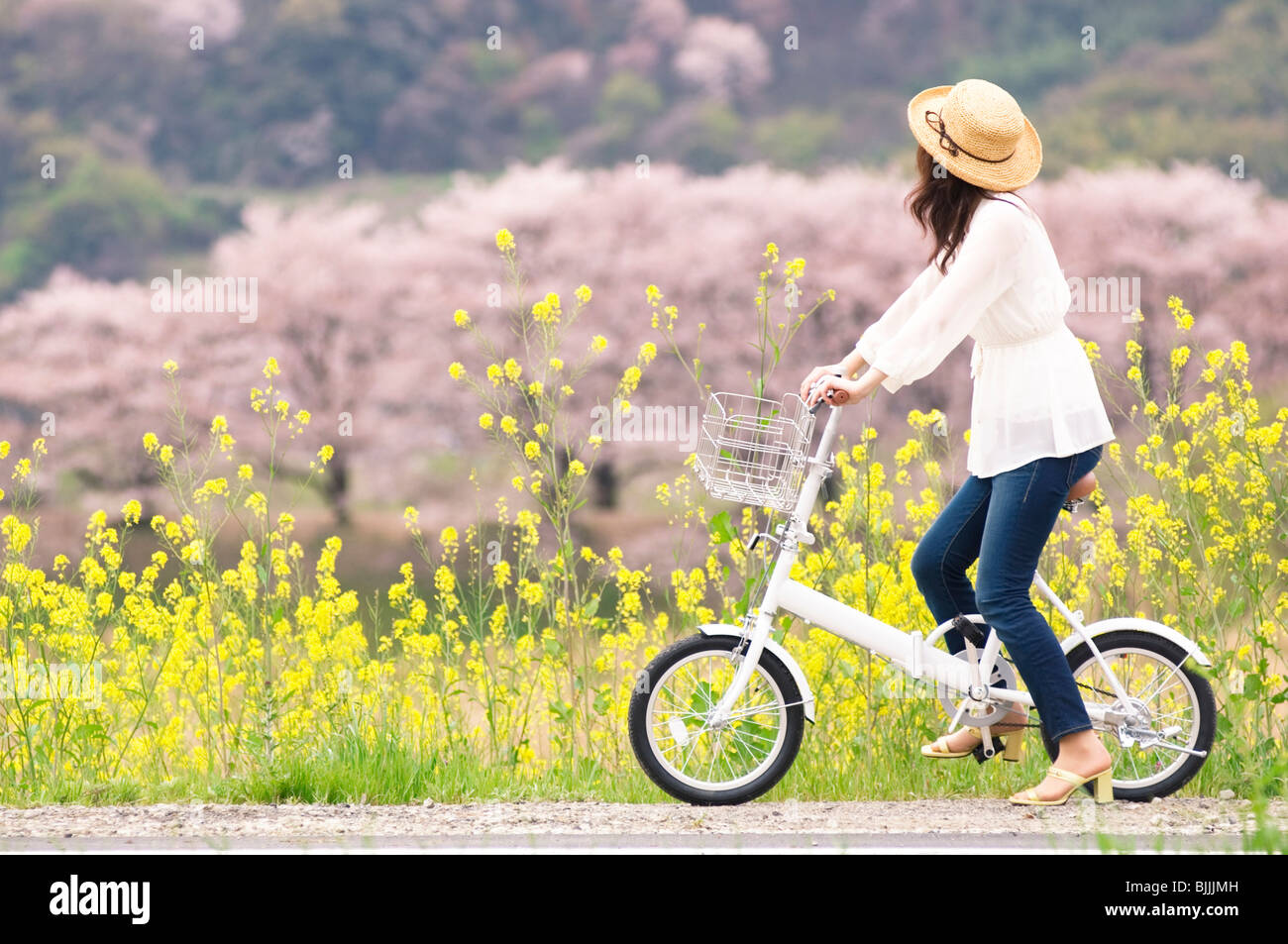 Woman cycling through spring landscape Stock Photo - Alamy