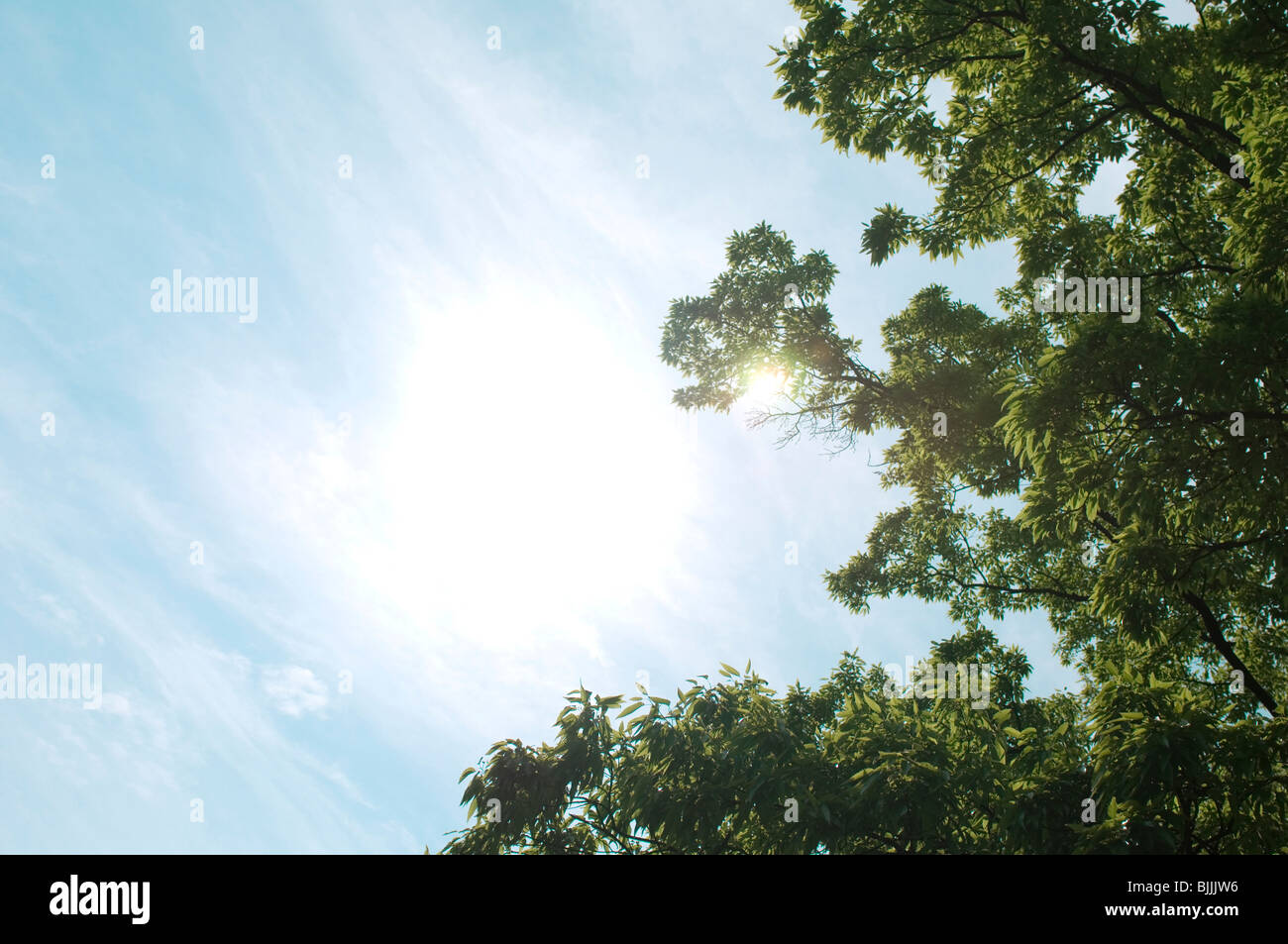 Sunlit sky hi-res stock photography and images - Alamy