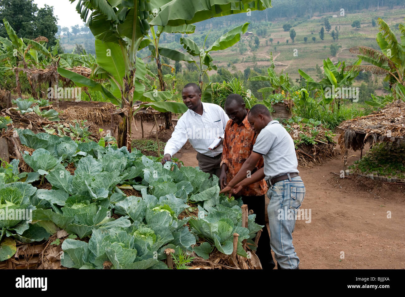 Farmer working his Keyhole Garden, which has a compost pile in the ...