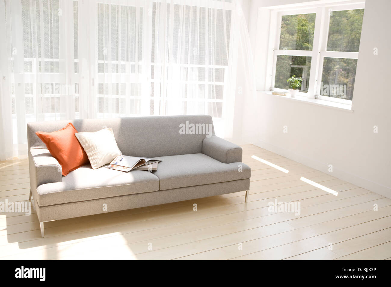 Books on sofa in living room Stock Photo - Alamy