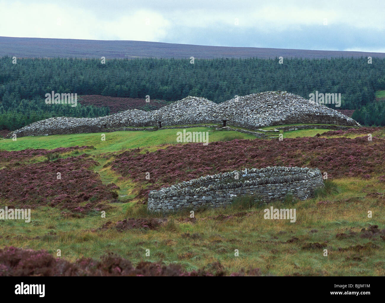 The Grey Cairns of Camster, Caithness Stock Photo - Alamy