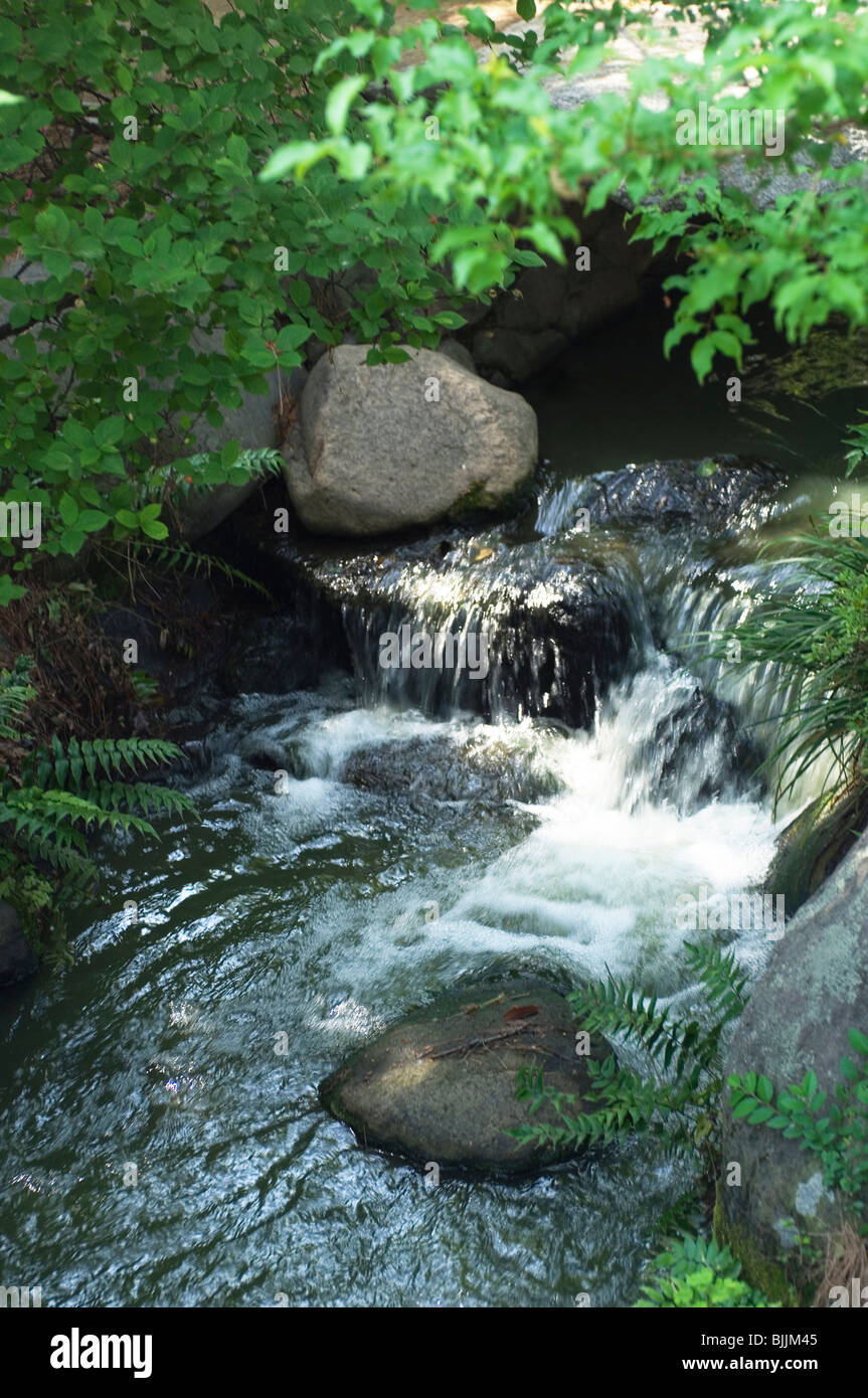 Flowing stream with rocks Stock Photo - Alamy