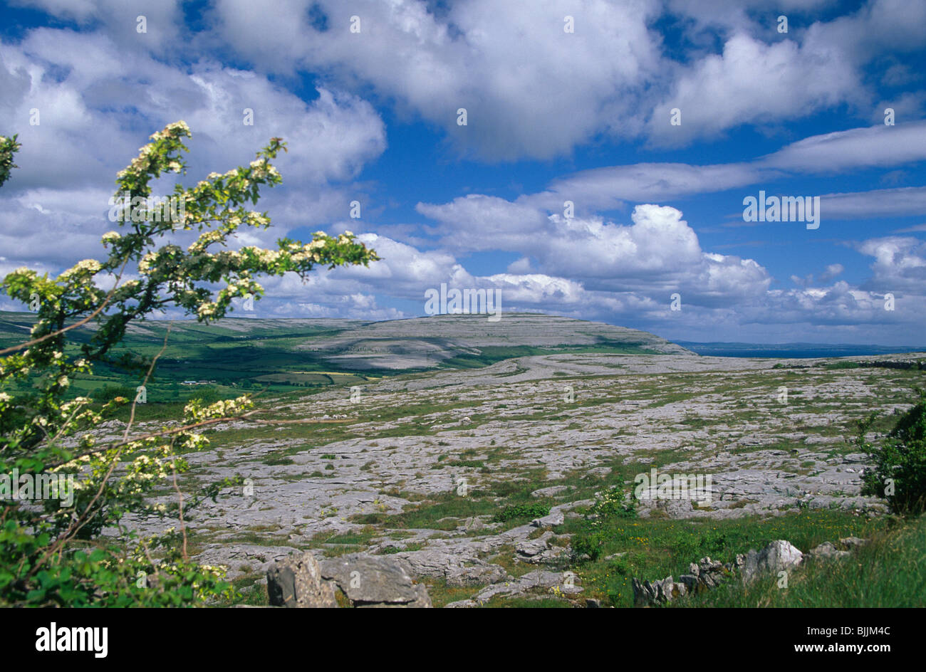 The Burren in County Down Stock Photo - Alamy