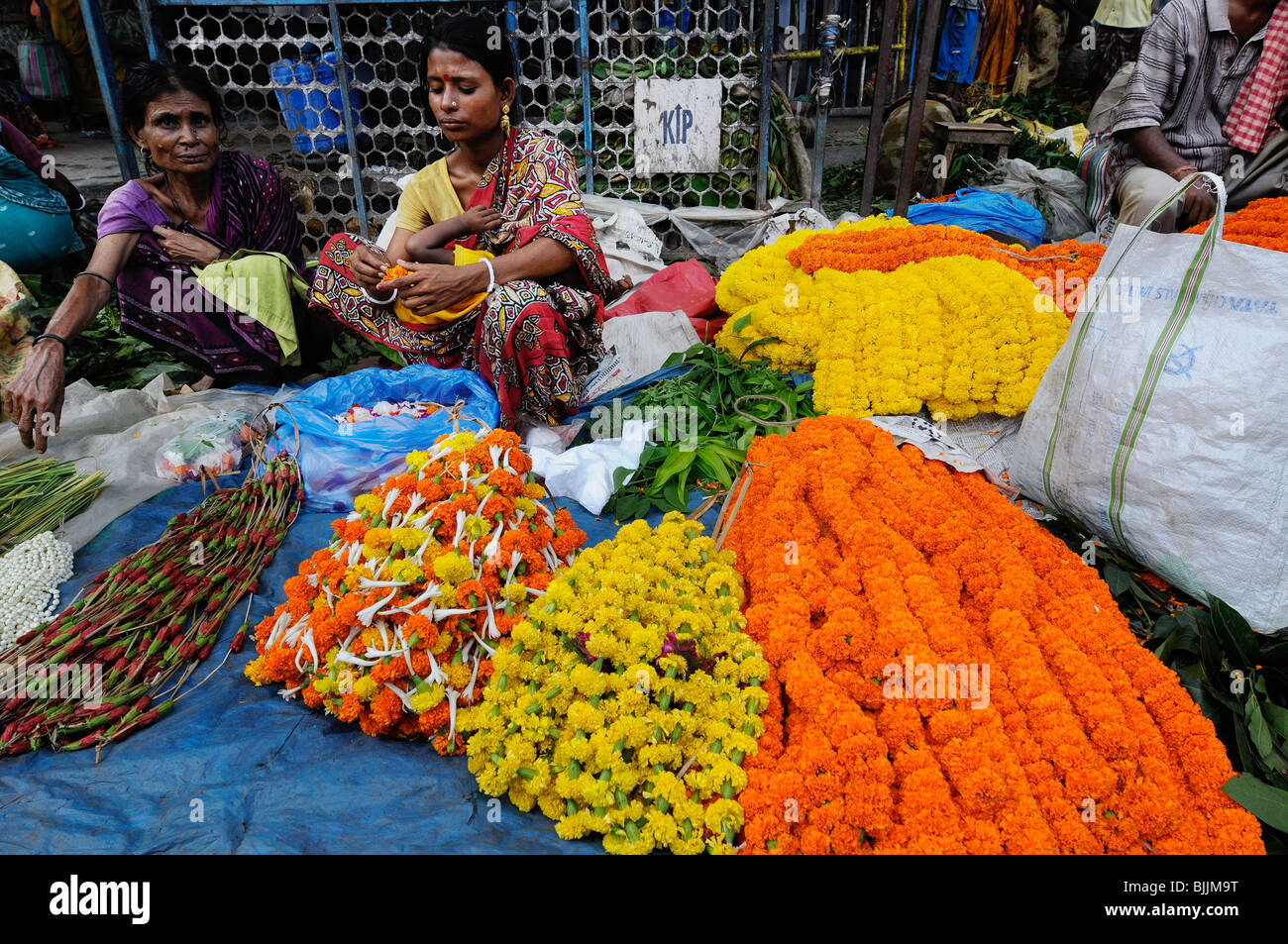 Calcutta hi-res stock photography and images - Alamy