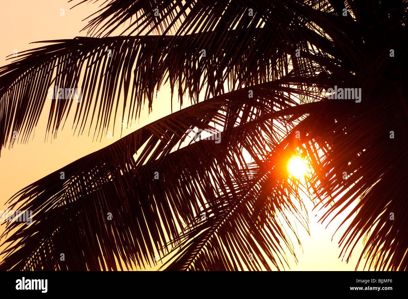 Baga Beach And Goa Stock Photos & Baga Beach And Goa Stock Images - Alamy