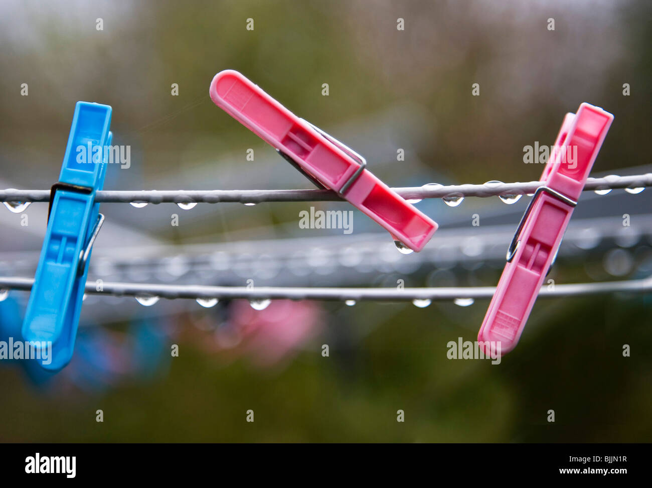 Clothes Pegs on a Wet Washing Line Stock Photo - Alamy