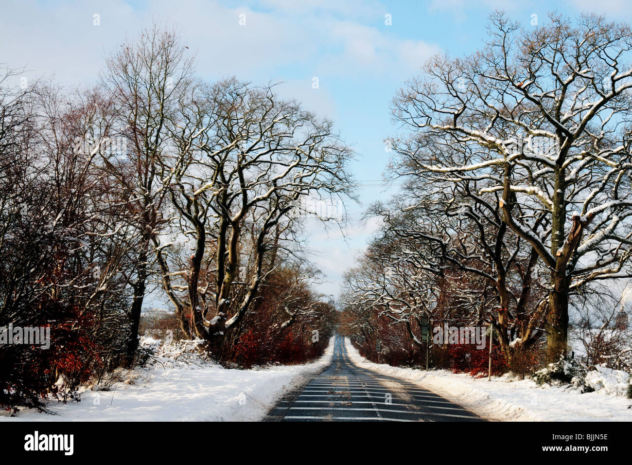 Snow overhanging road hi-res stock photography and images - Alamy