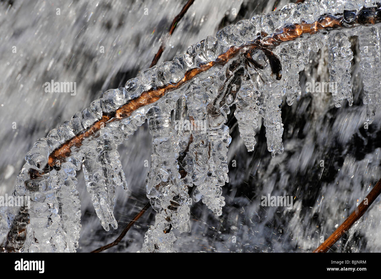 Icicles hang from a thin branch overhanging a running stream Stock ...