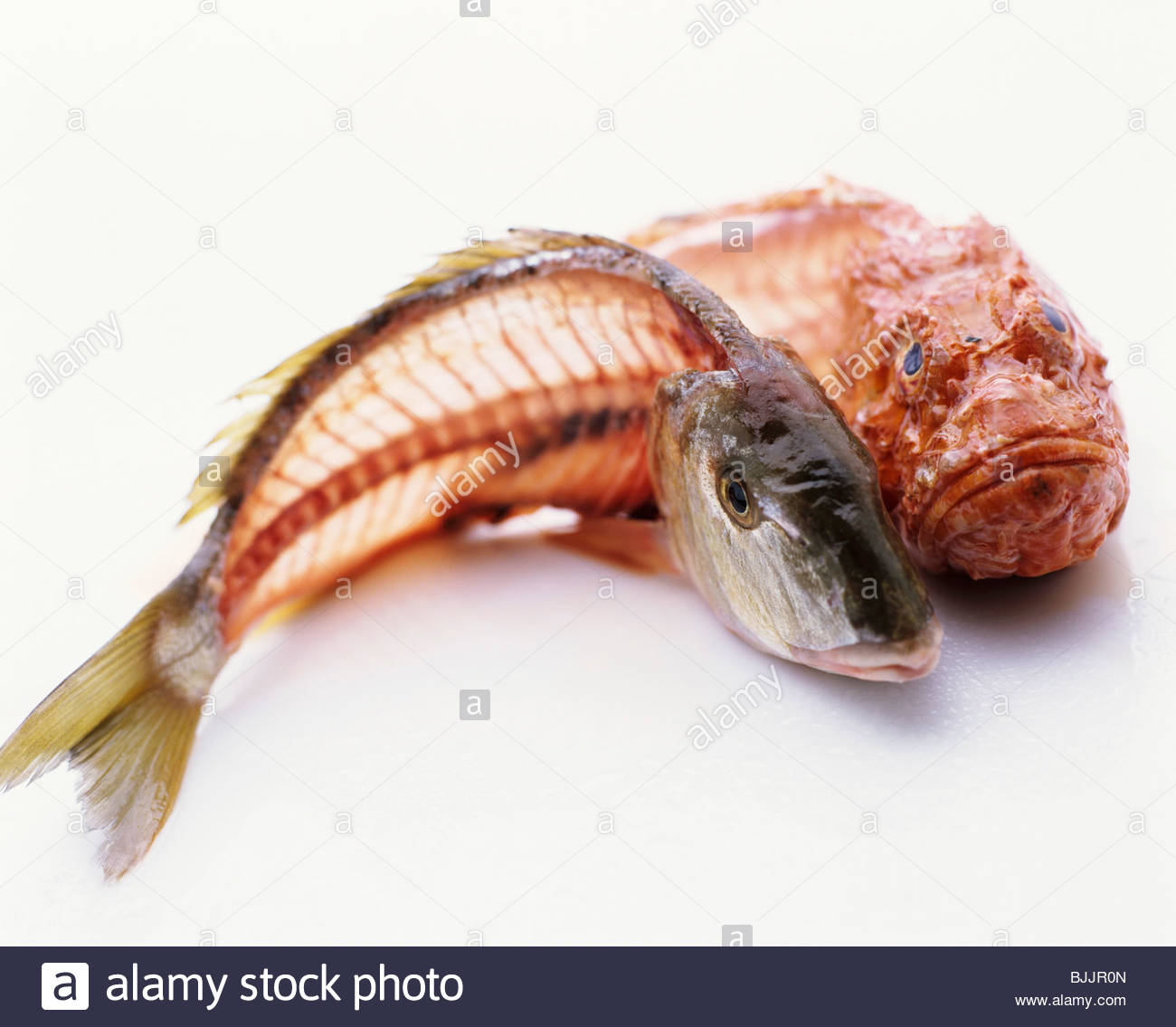 Fish Bones Stock Photos & Fish Bones Stock Images - Alamy