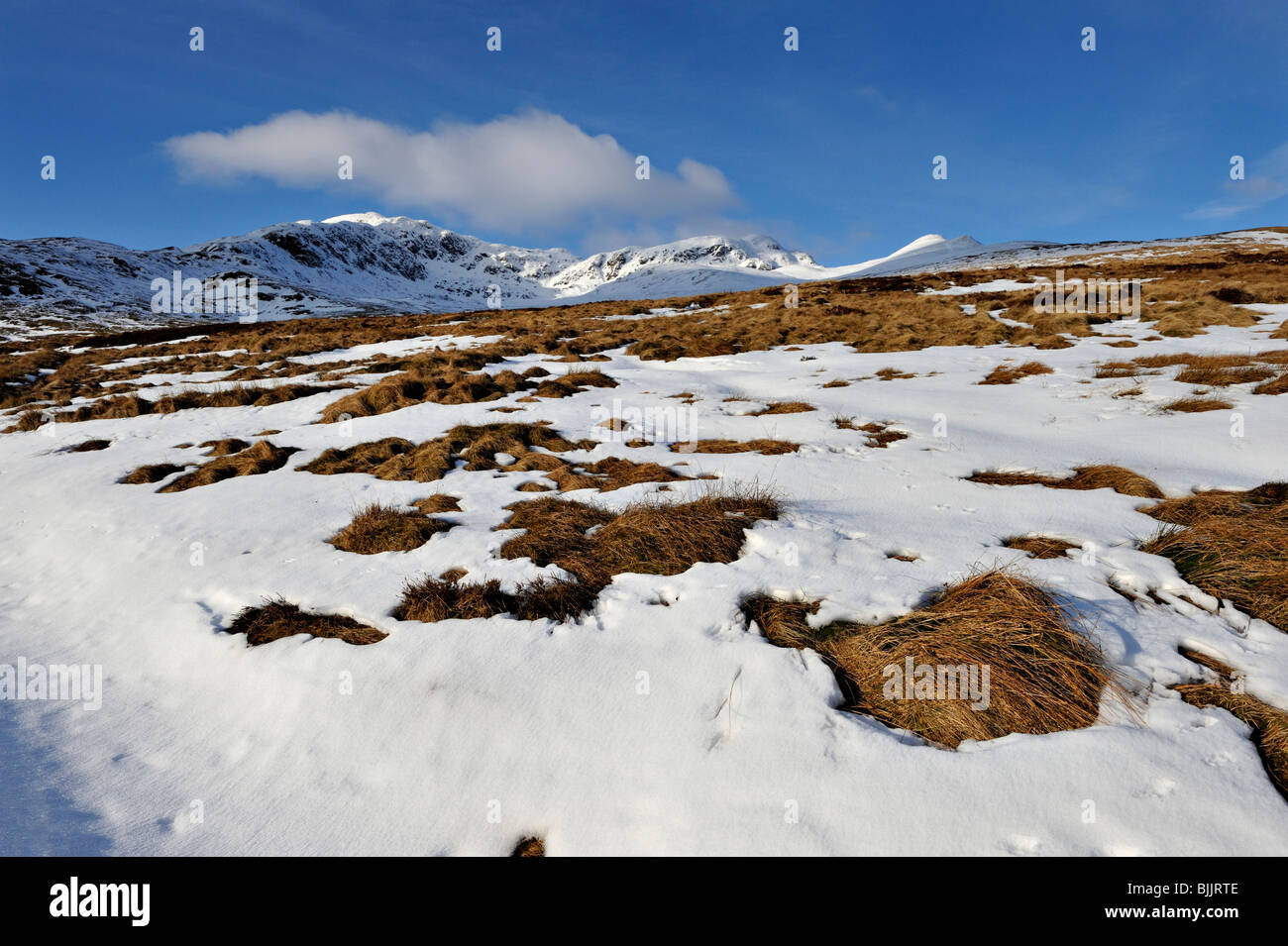 Clumps of grass hi-res stock photography and images - Alamy