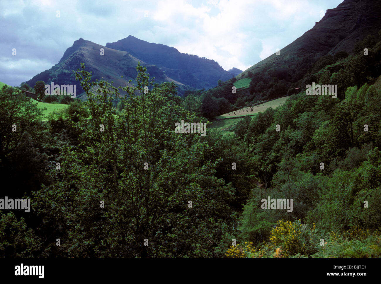 Navarrese basque hi-res stock photography and images - Alamy