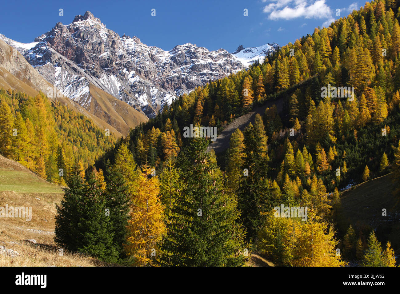 Engadina hi-res stock photography and images - Alamy