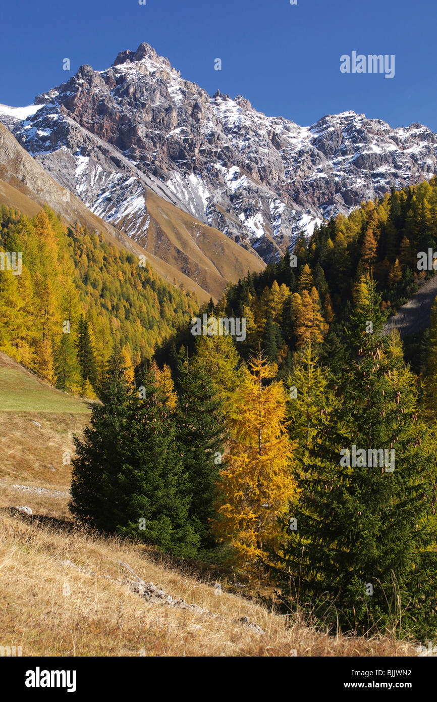 Engadina hi-res stock photography and images - Alamy