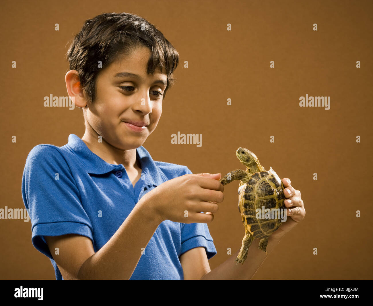 Holding turtles hi-res stock photography and images - Alamy
