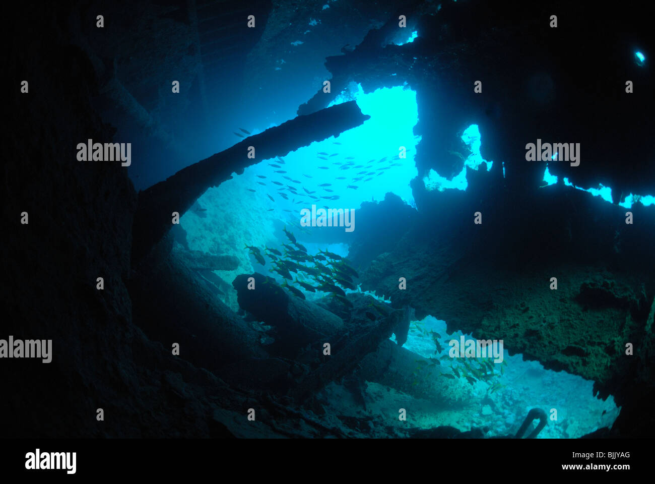 Wreck of Dunraven in the Red Sea, off coast of Egypt Stock Photo - Alamy