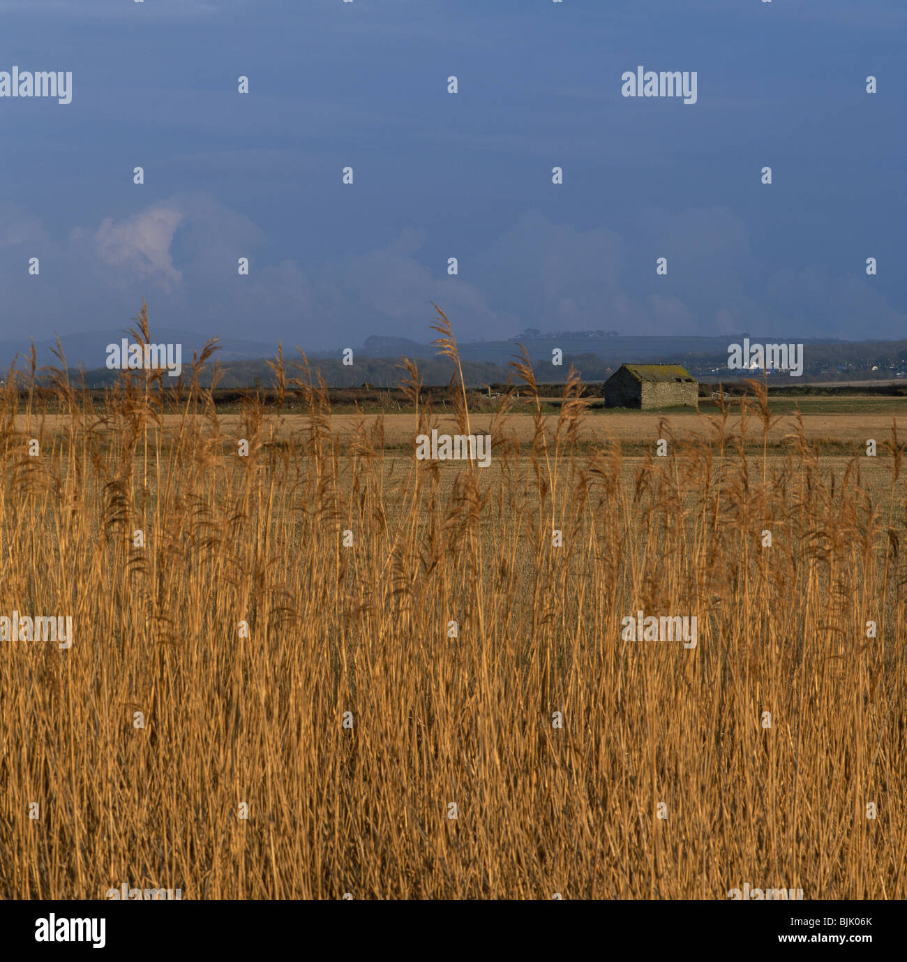 Horsey Island High Resolution Stock Photography and Images - Alamy